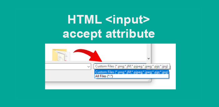 How To Code Html Input Type File With Accept Attribute I Fix Problem