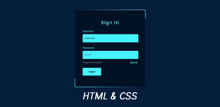 How To Create Beautiful Animated Login Form Htmlcss I Fix Problem